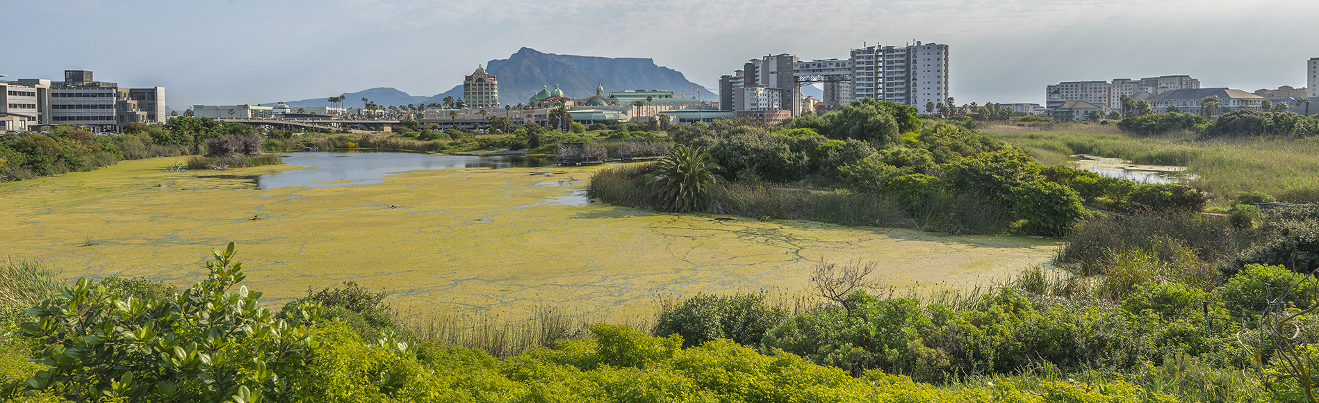 Discover Cape Town's Northern Suburbs - Cape Town Tourism