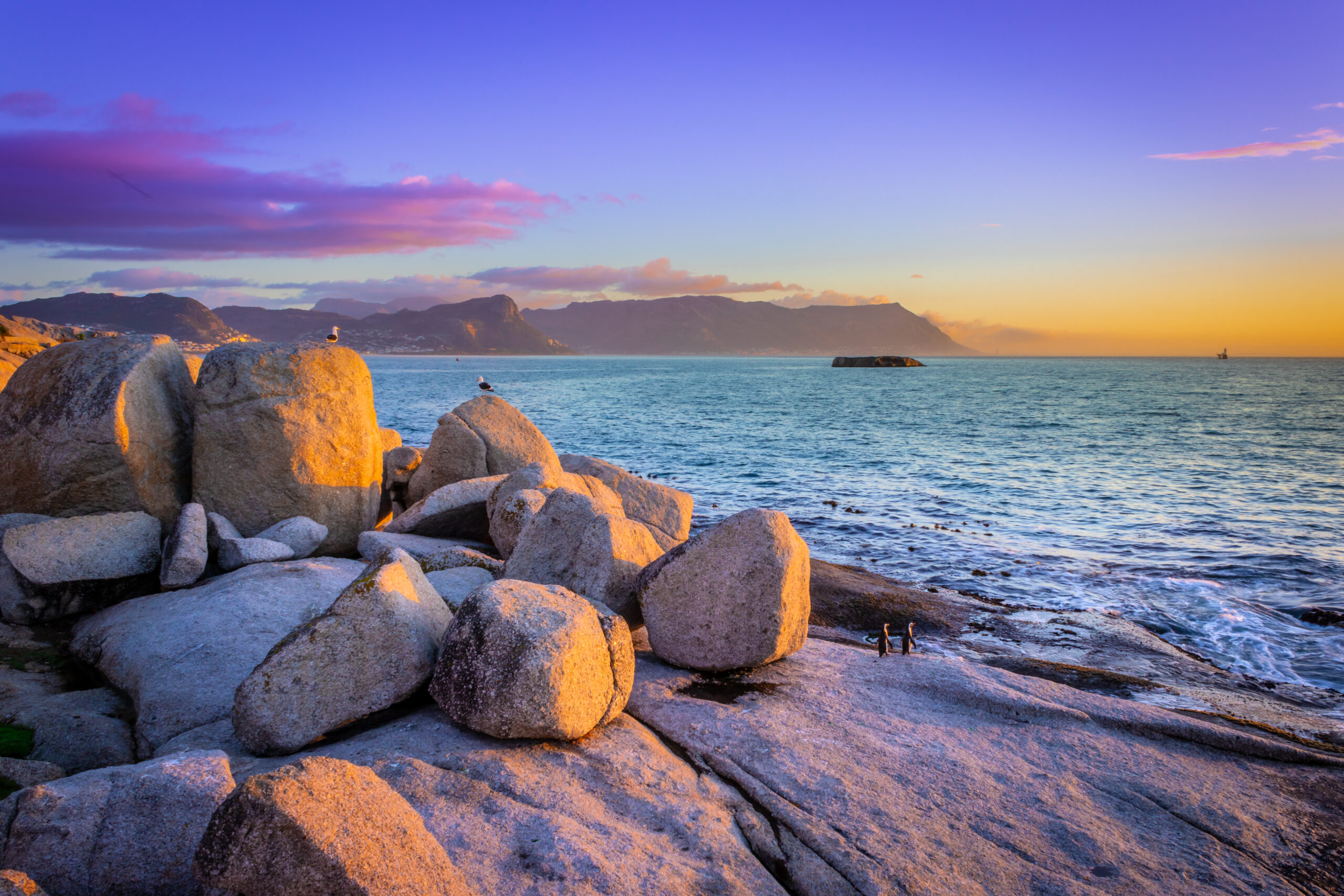 Discover Cape Town's Atlantic Seaboard - Cape Town Tourism