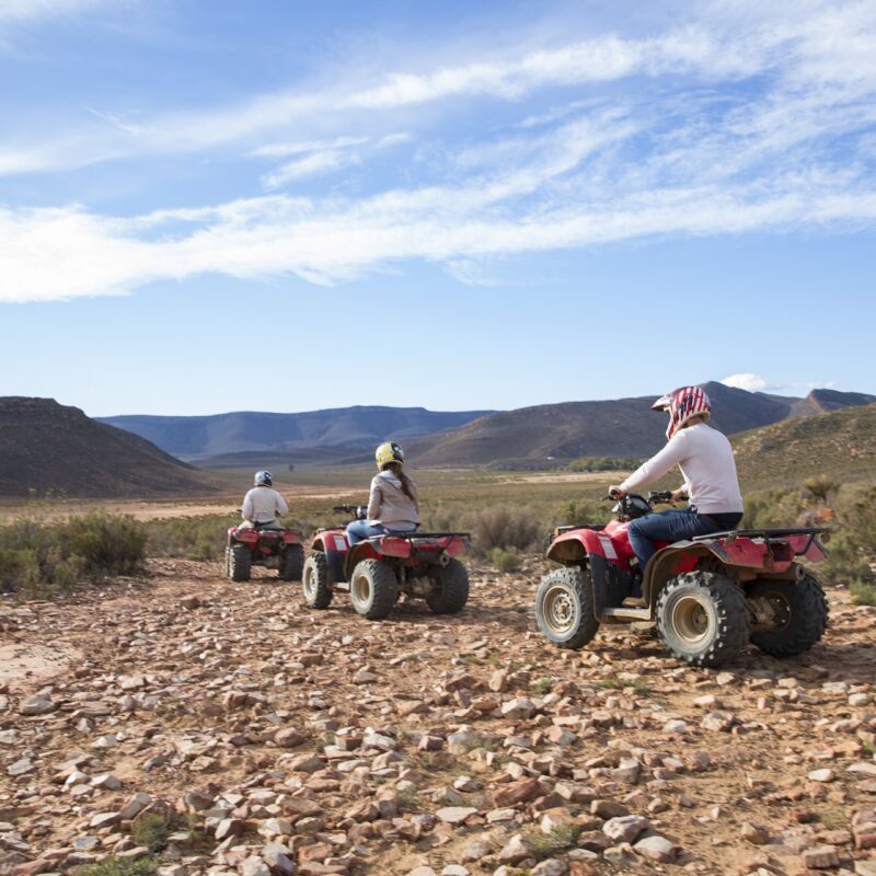 Cool Runnings Toboggan Family Park - Cape Town Tourism