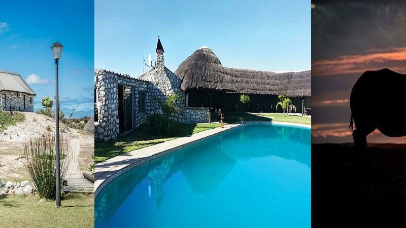 Buffelsfontein Game and Nature Reserve - Cape Town Tourism