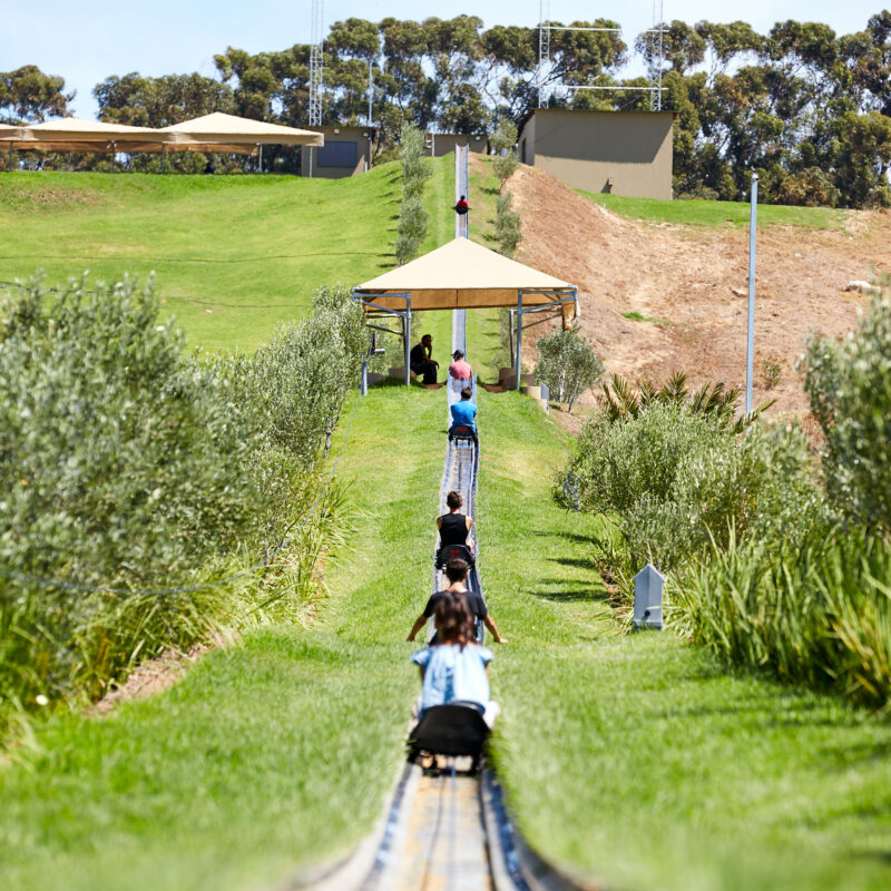 Discover Cape Town's Northern Suburbs - Cape Town Tourism