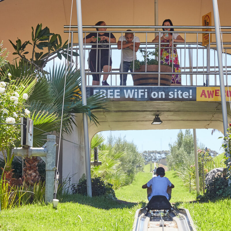 Discover Cape Town's Northern Suburbs - Cape Town Tourism
