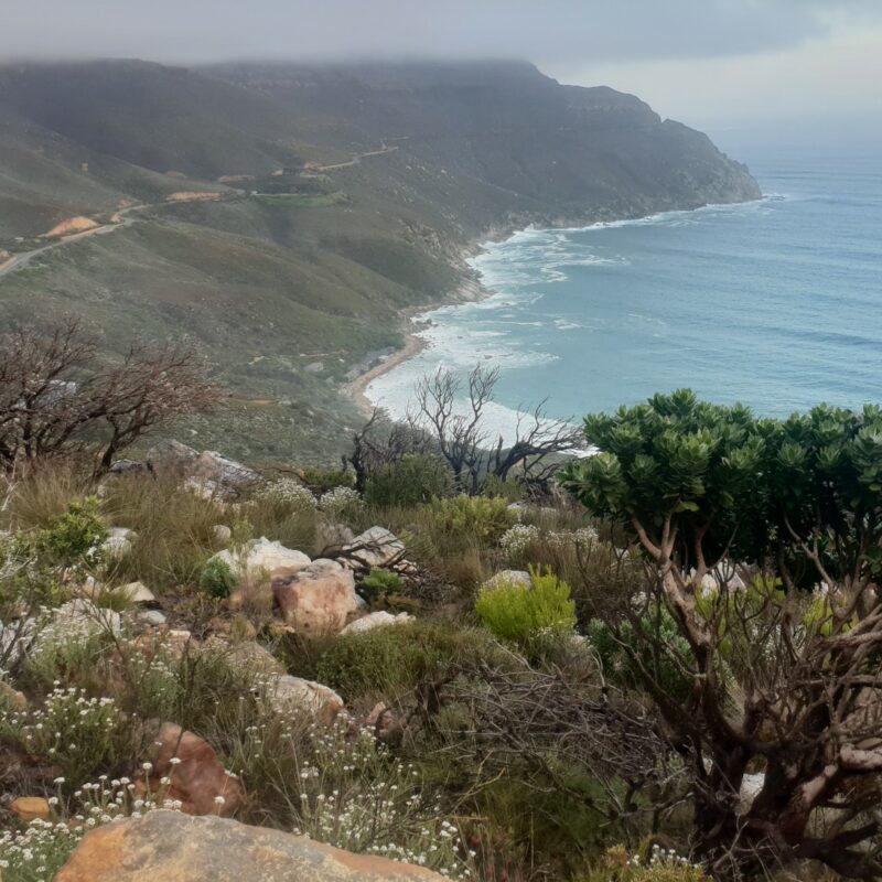 Discover Cape Agulhas Tourism - Cape Town Tourism