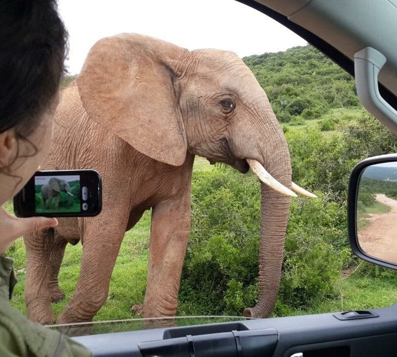 Indonga Travel - Cape Town Tourism