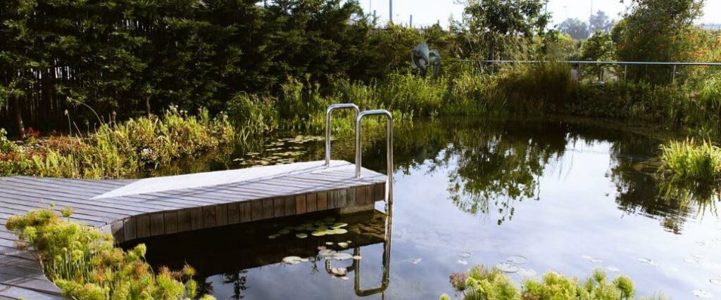 Making Wise Water Choices in Cape Town - Cape Town Tourism