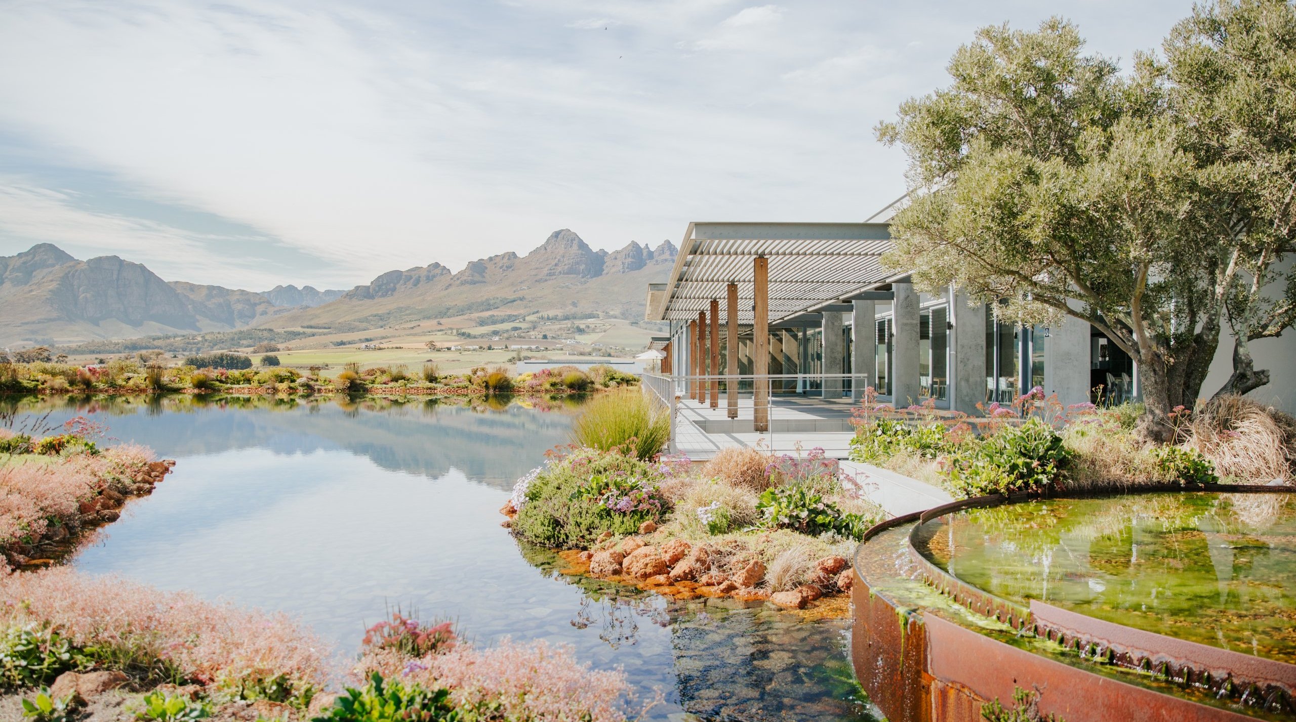 Cavalli wine & co - Cape Town Tourism