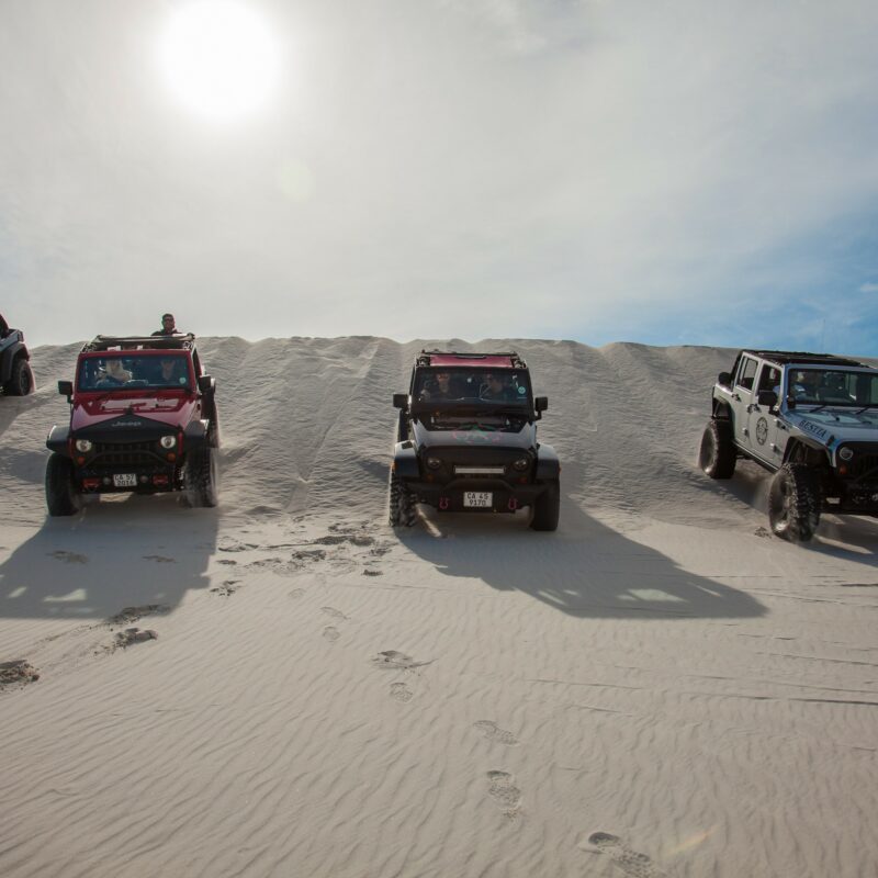 Twin Venture - Cape Town Tourism