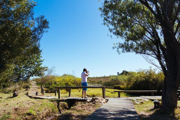 The Helderberg Region: The Official Neighbourhood Guide - Cape Town Tourism