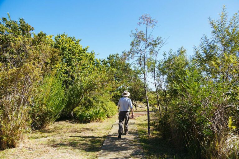 The Helderberg Region: The Official Neighbourhood Guide - Cape Town Tourism