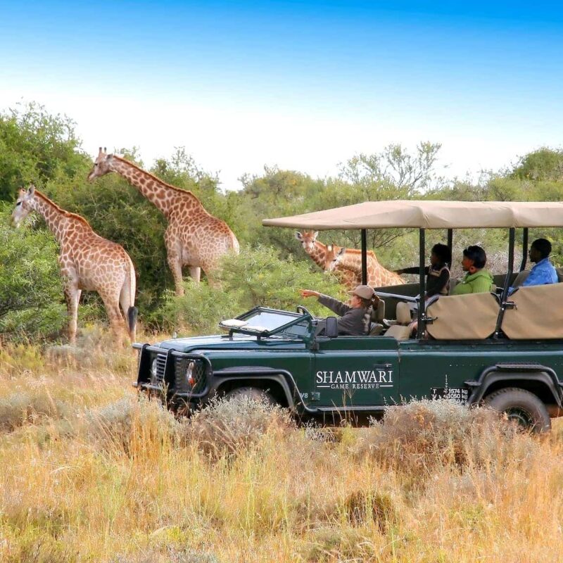 City Sightseeing Tours (Red Bus) - Cape Town Tourism