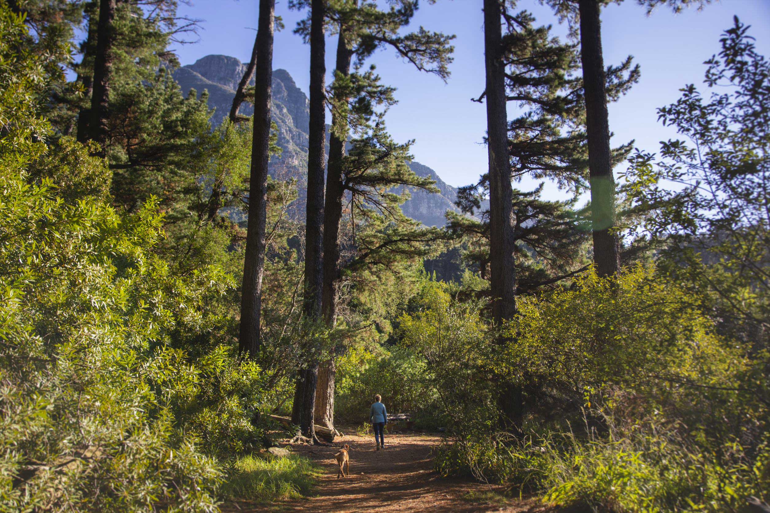 Discover Cape Town's Southern Suburbs - Cape Town Tourism