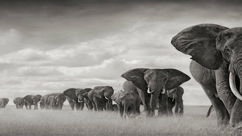 Indonga Travel - Cape Town Tourism