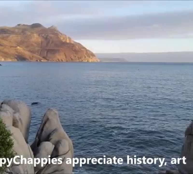 The Elephant Sanctuary - Cape Town Tourism