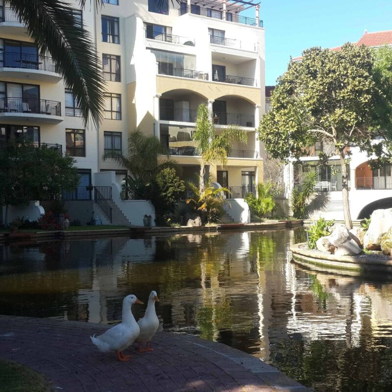 Hotel Verde Cape Town Airport - Cape Town Tourism