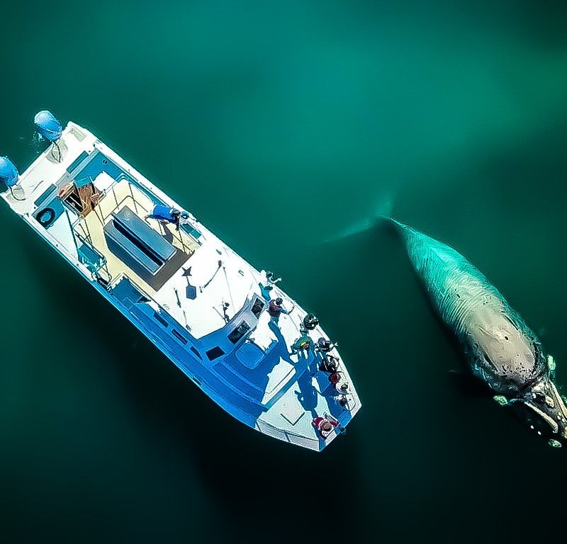 Zonnekus Holiday Resort - Cape Town Tourism