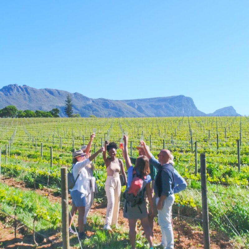 Discover Cape Town's Southern Suburbs - Cape Town Tourism