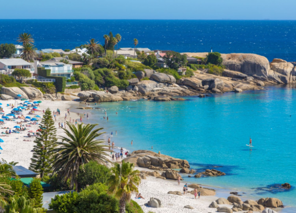 Marine conservation Cape Town - Cape Town Tourism