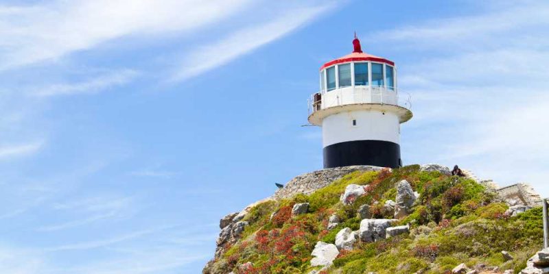 Here’s What Not to Miss On Your Next Cape Point Visit - Cape Town Tourism