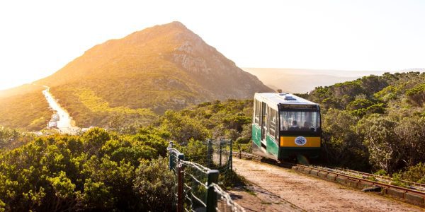 Here’s What Not to Miss On Your Next Cape Point Visit - Cape Town Tourism