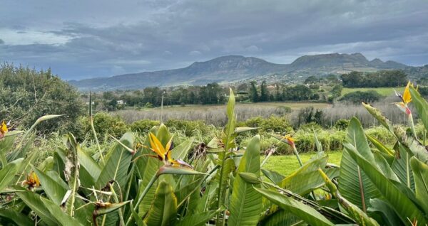 Neighbourhood Guide to Wynberg - Cape Town Tourism