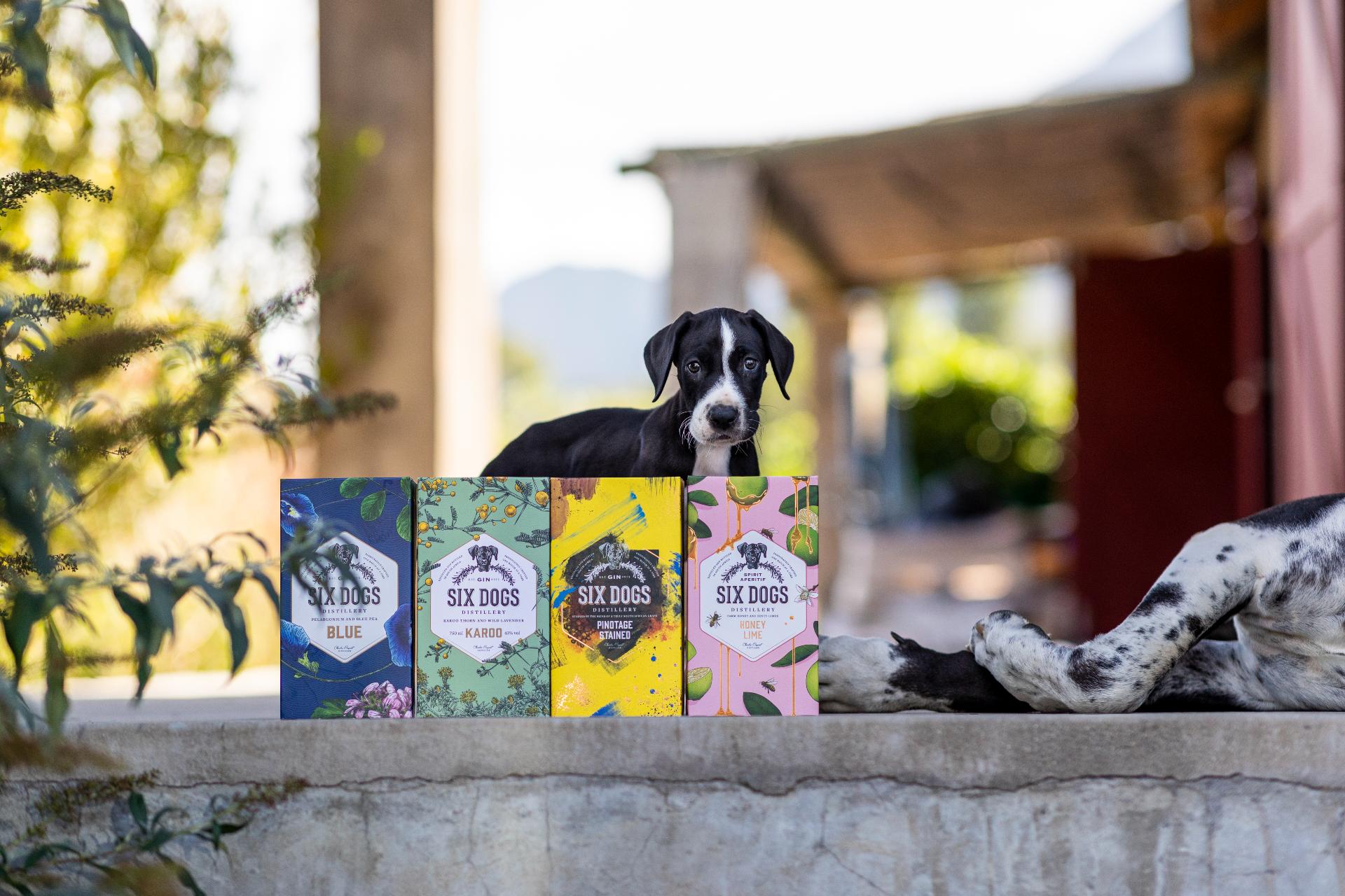 Six Dogs Distillery - Cape Town Tourism