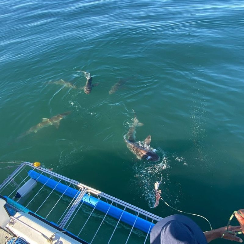 Cool Runnings Toboggan Family Park - Cape Town Tourism