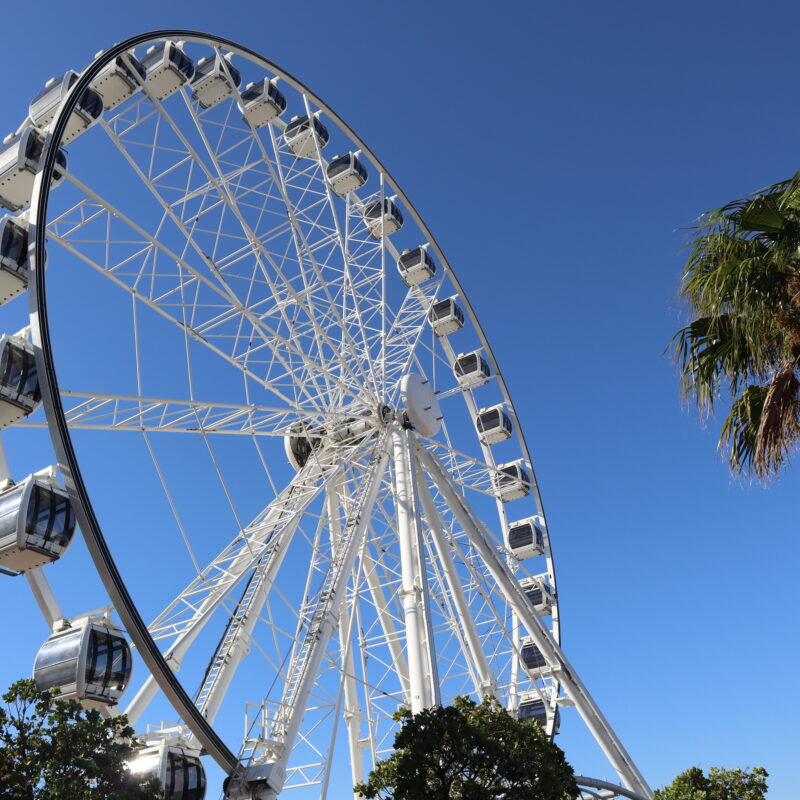 Two Oceans Aquarium - Cape Town Tourism