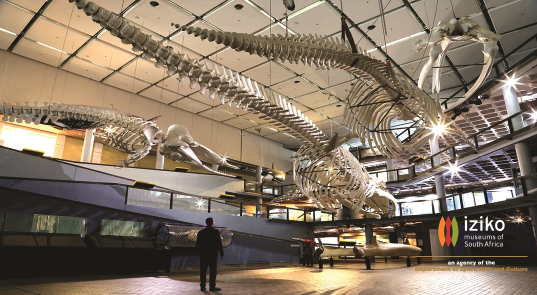 Iziko Museums of Cape Town - Cape Town Tourism