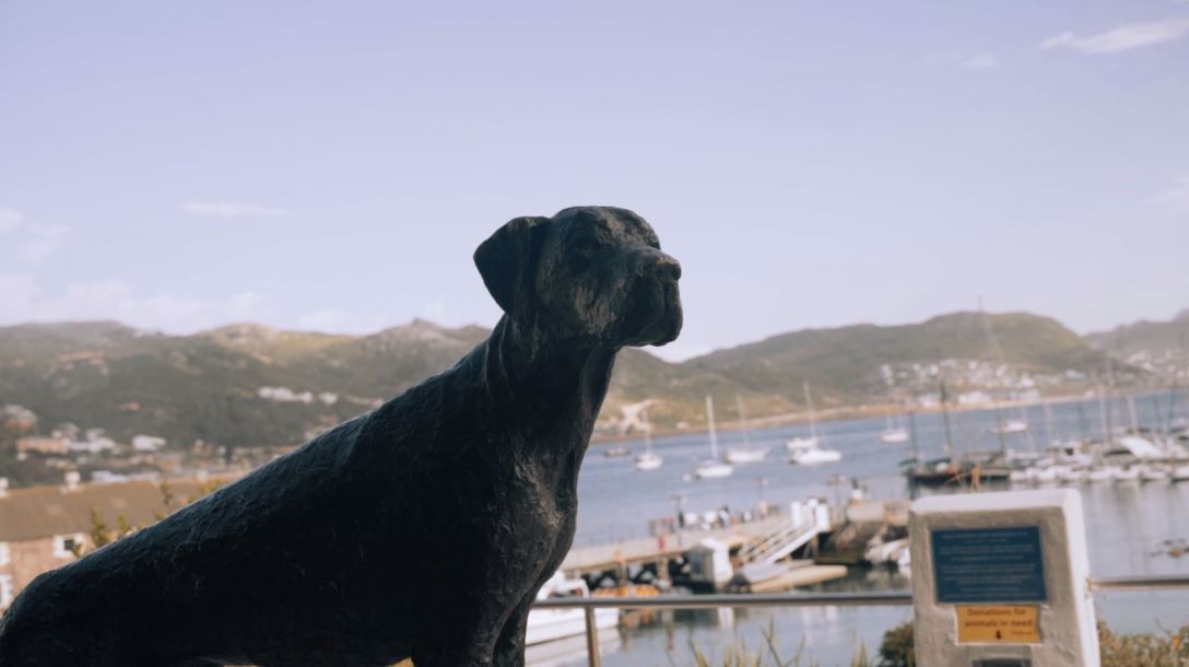 Fun Things to do in Simon’s Town - Cape Town Tourism