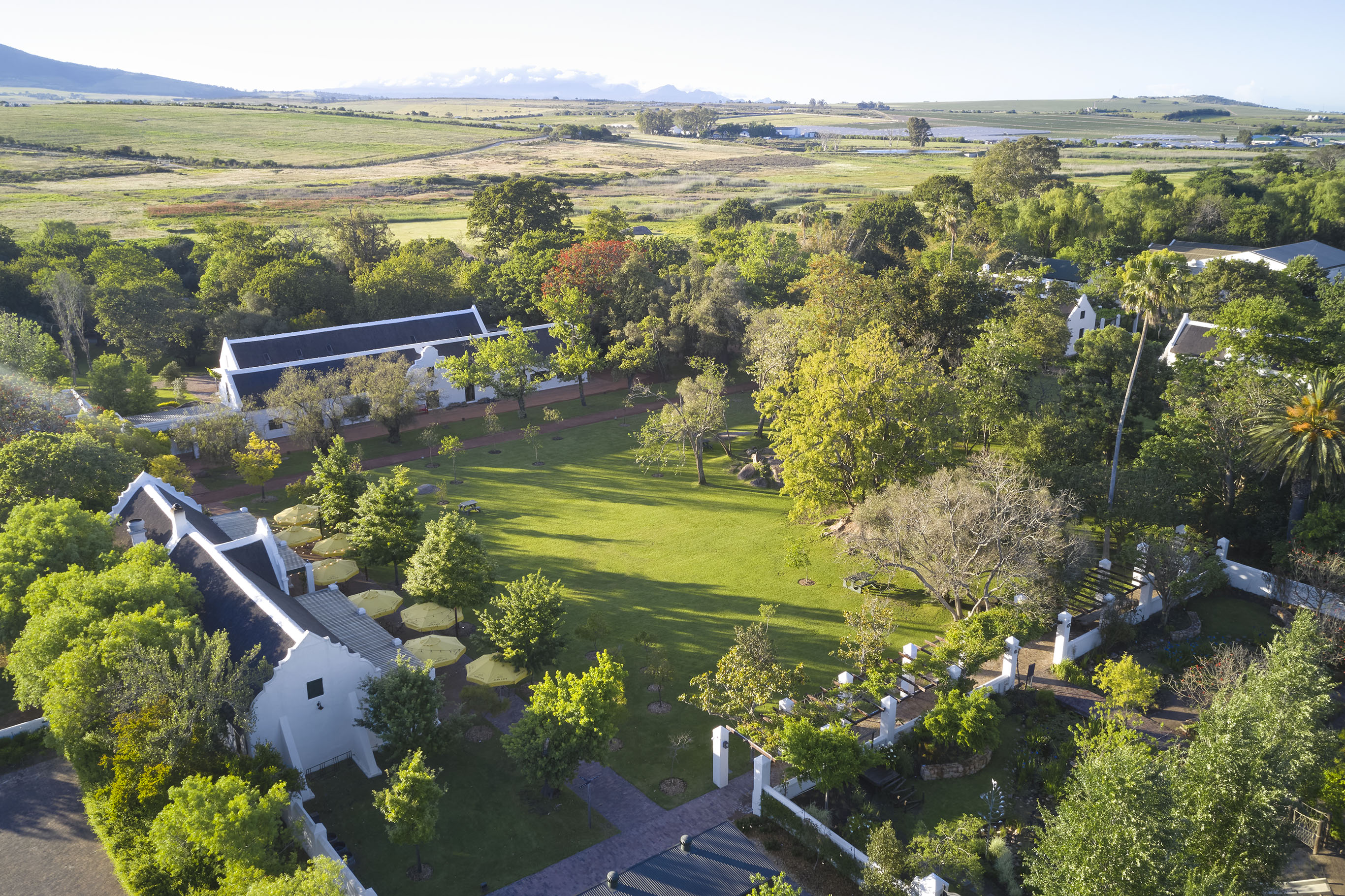 Spier Wine Farm - Cape Town Tourism