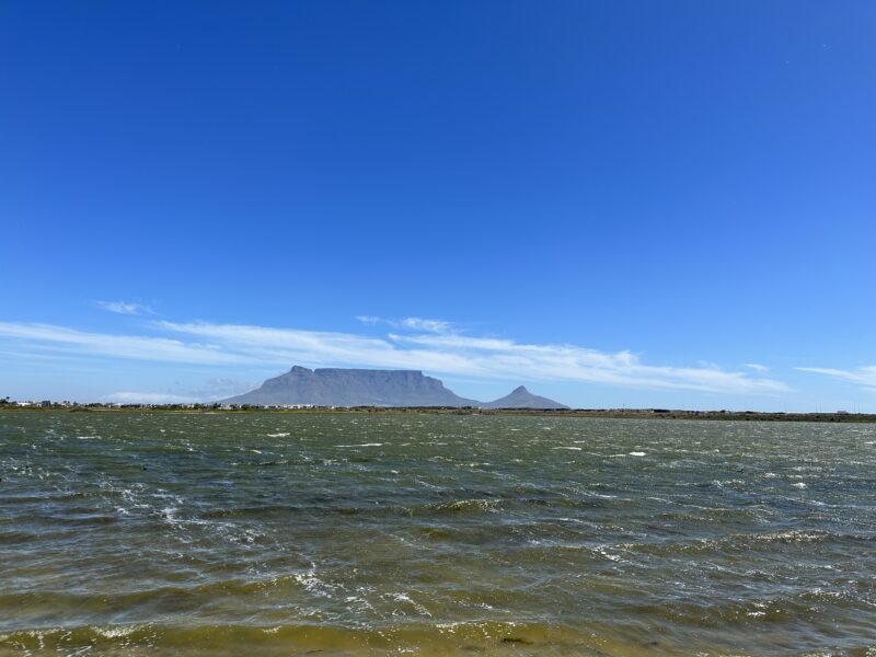 A whole new world awaits at Table Bay Nature Reserve - Cape Town Tourism