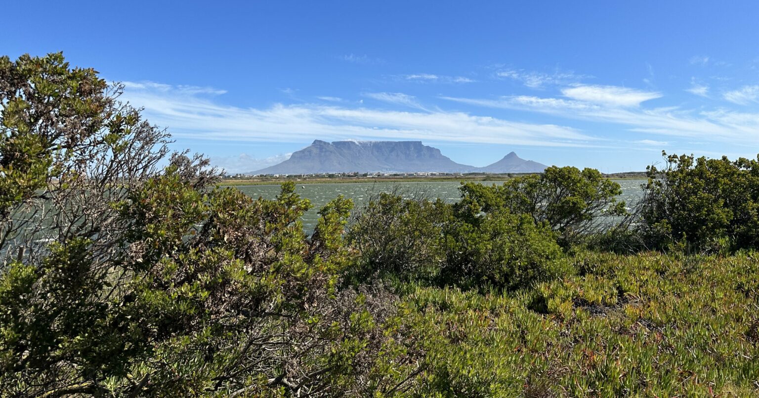 A whole new world awaits at Table Bay Nature Reserve - Cape Town Tourism