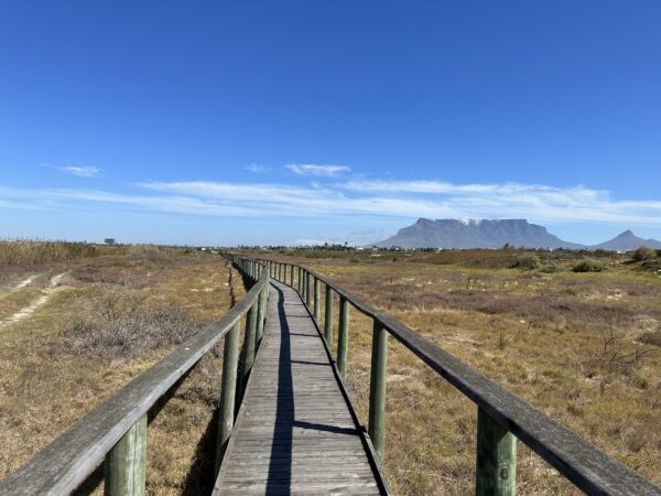 A whole new world awaits at Table Bay Nature Reserve - Cape Town Tourism