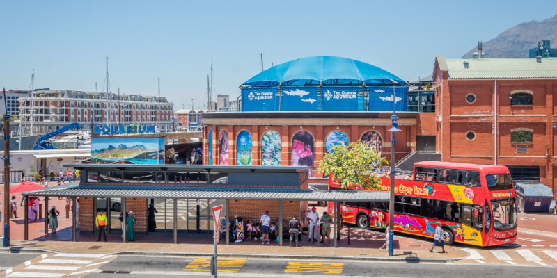 Fun Cape Town Activities for your Kids - Cape Town Tourism