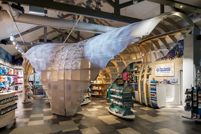 Shimansky - Cape Town Tourism