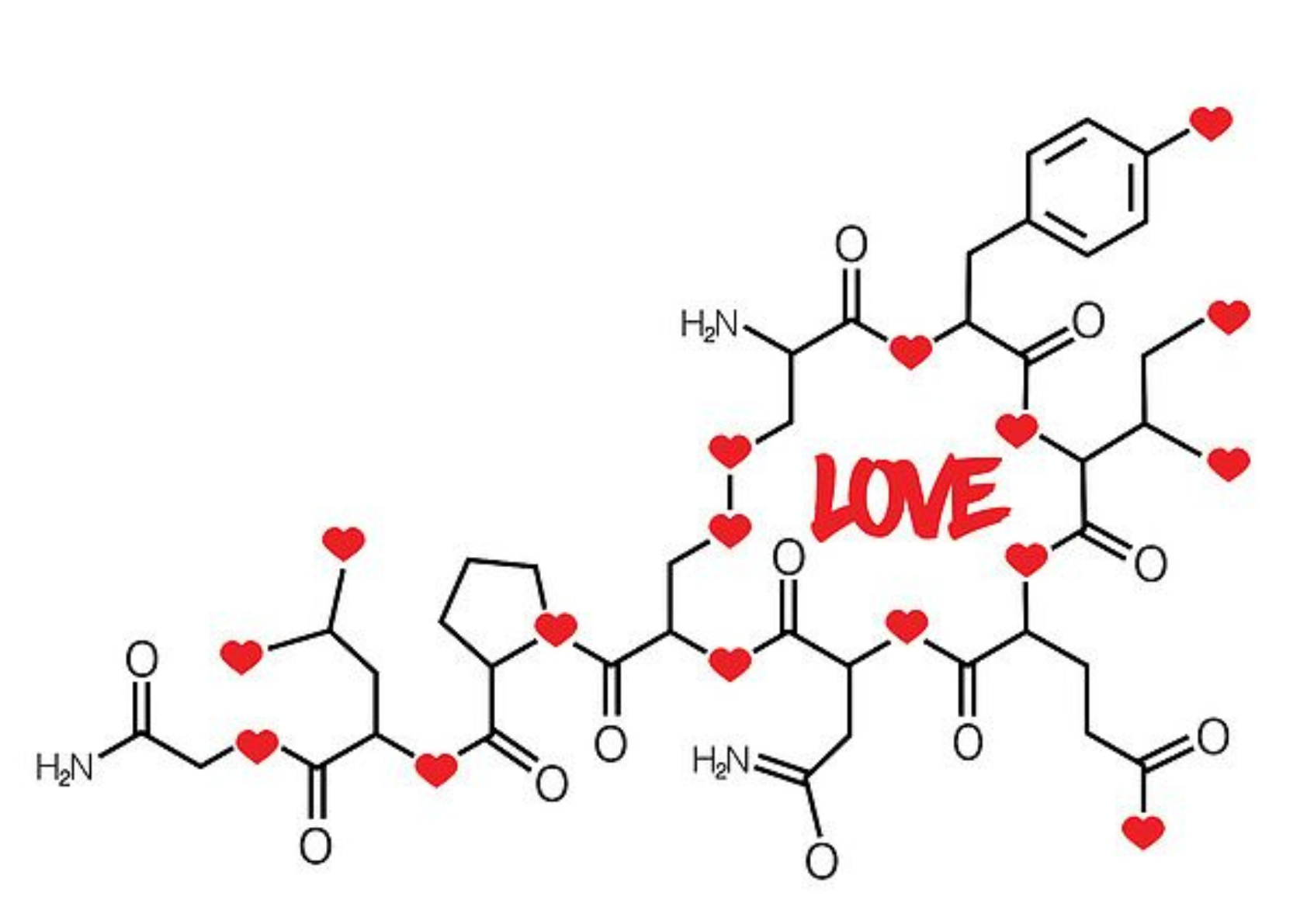The Chemistry Club: Speed-dating with Jamie Lee Domburg - Cape Town Tourism