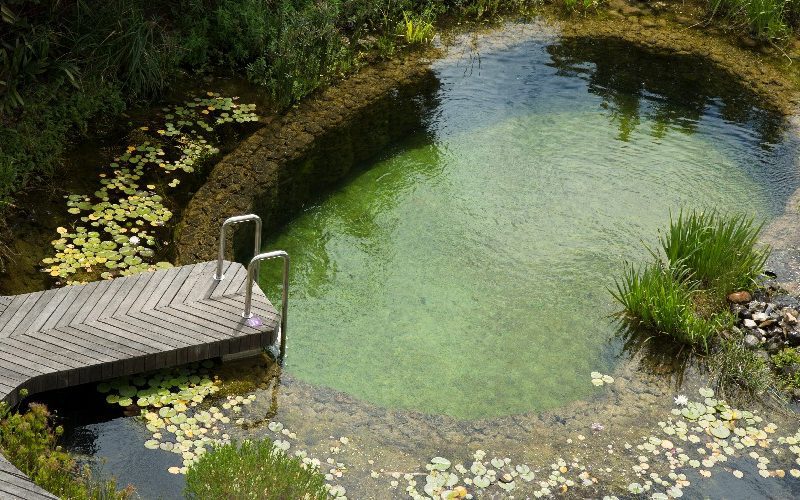 Discover Cape Town's Northern Suburbs - Cape Town Tourism