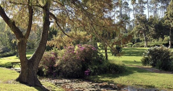 Neighbourhood Guide to Wynberg - Cape Town Tourism