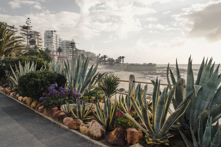 Sea Point - Cape Town Tourism