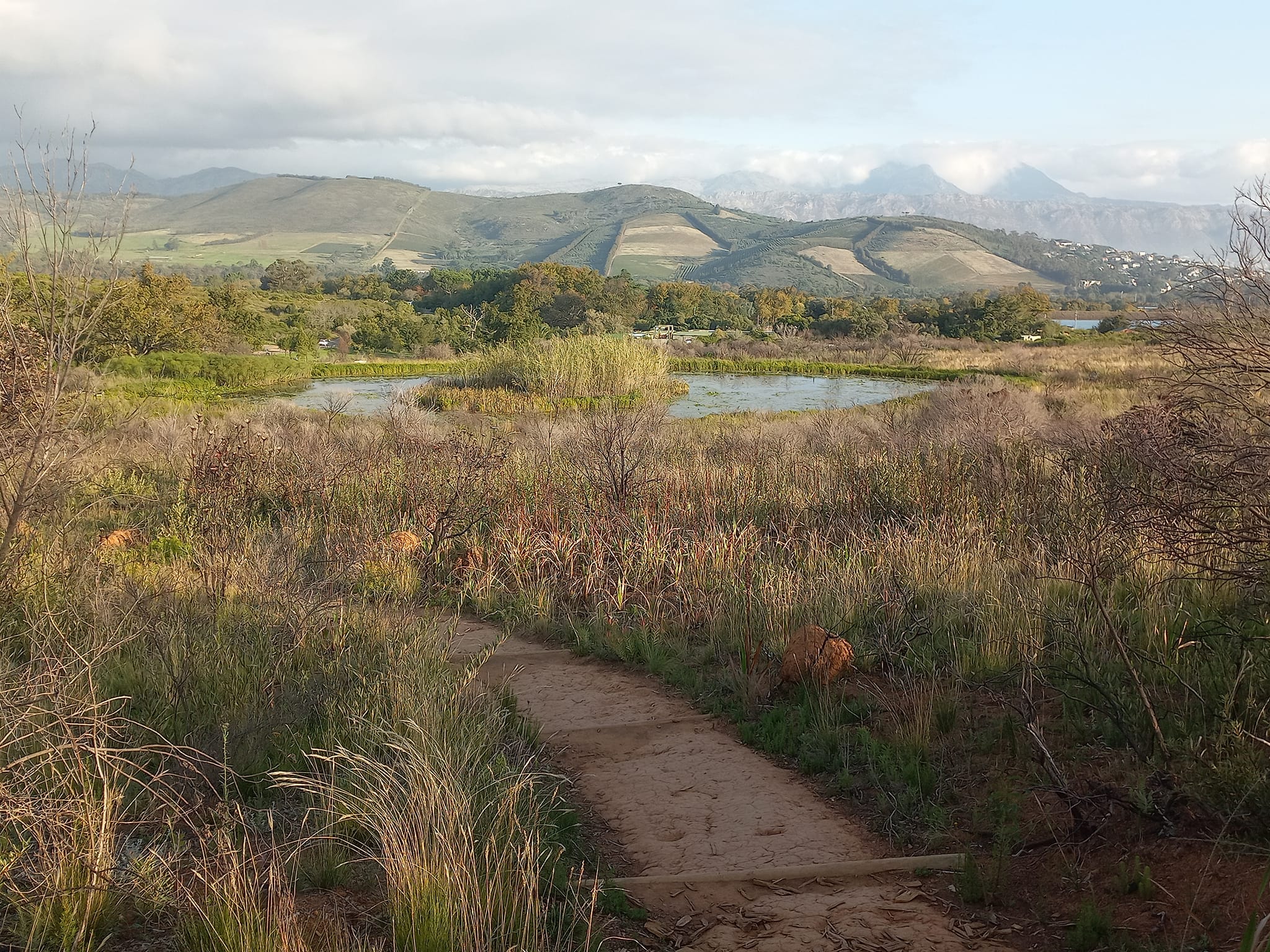 5 Things to Do in the Helderberg Region - Cape Town Tourism