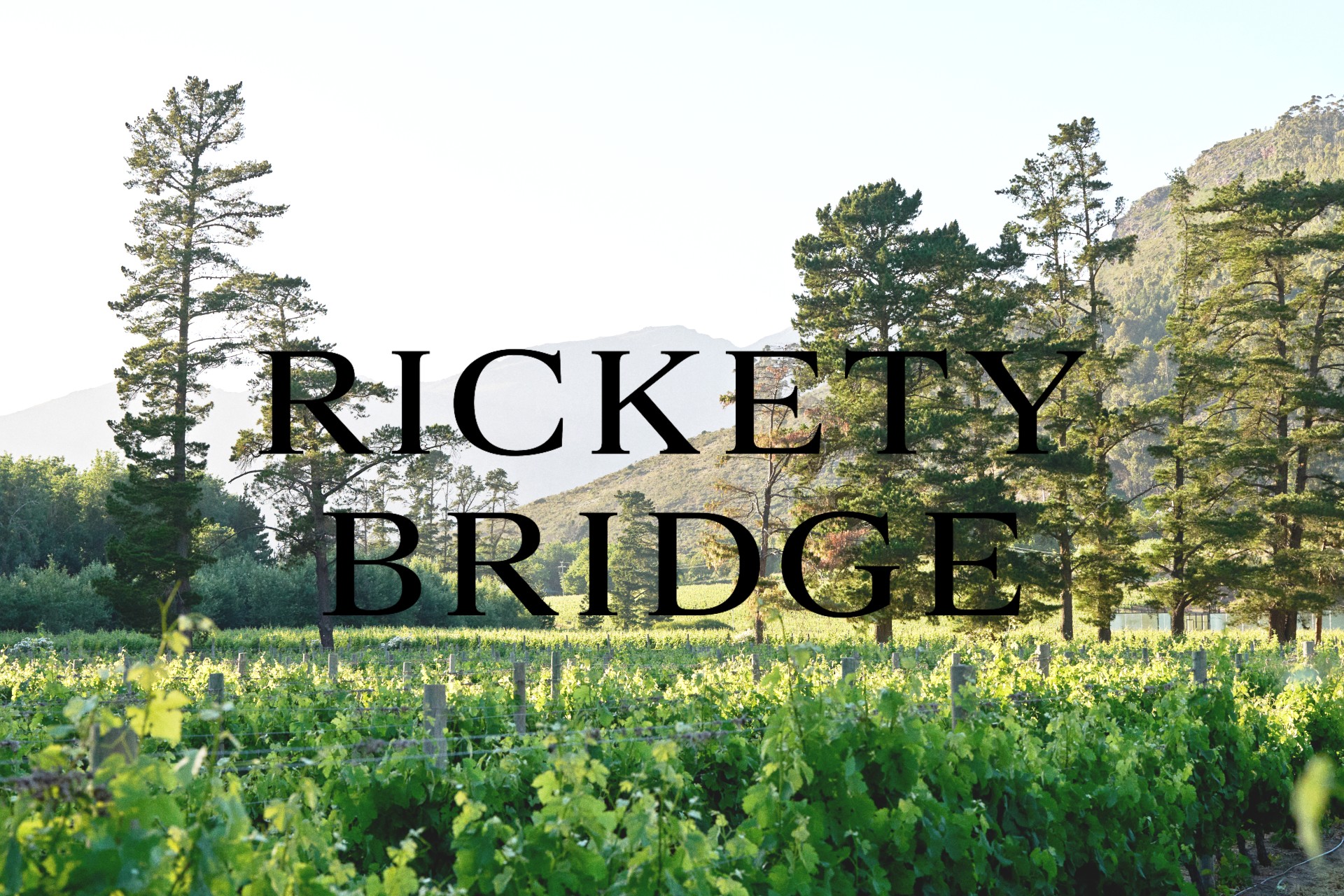 Rickety Bridge Wine Estate - Cape Town Tourism