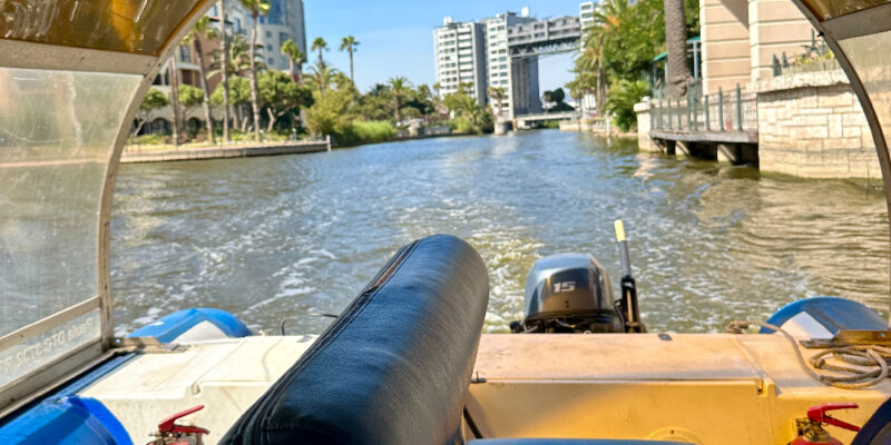 Explore Intaka Island - A Sustainable Hidden Gem - Cape Town Tourism