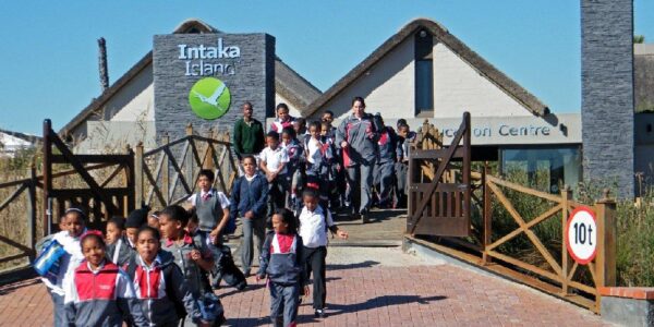 Explore Intaka Island - A Sustainable Hidden Gem - Cape Town Tourism