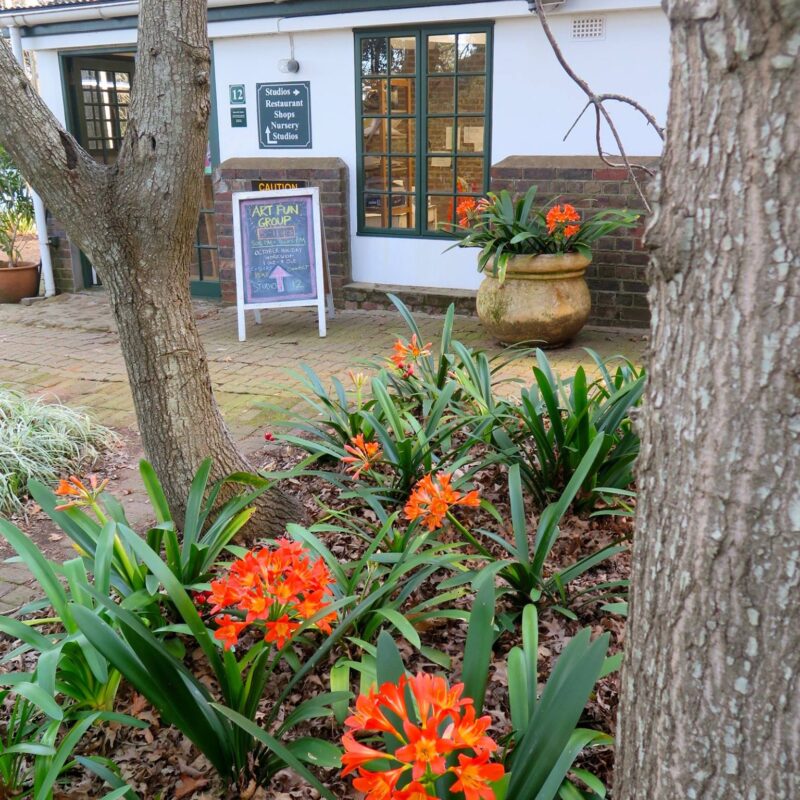 Edith Stephens Wetland Park - Cape Town Tourism