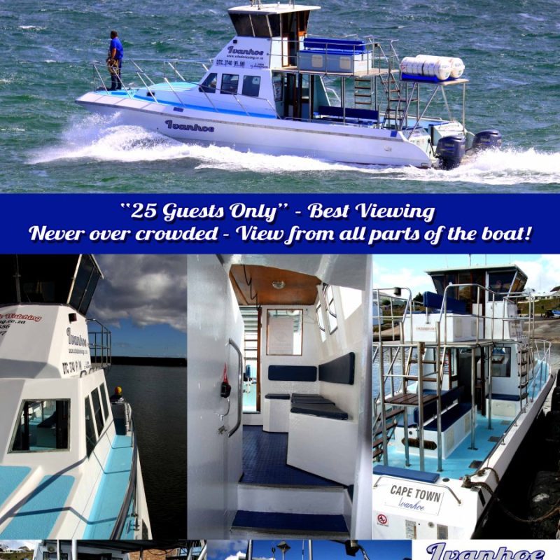 The Waterfront Duck Co. - Cape Town Tourism