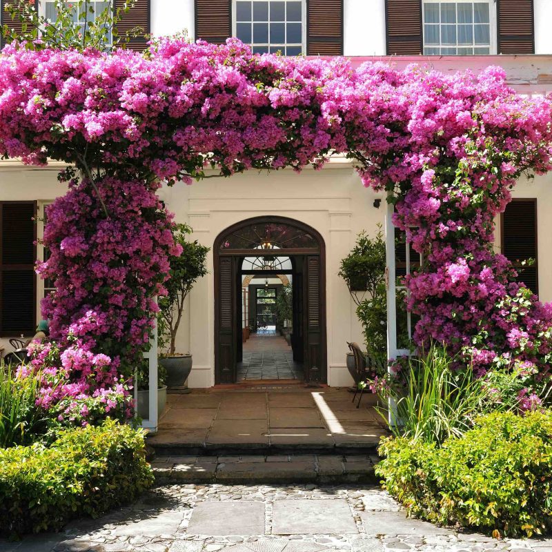 Panorama Guest House - Cape Town Tourism
