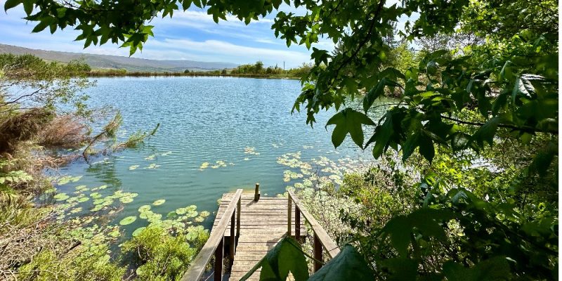 Get your Ultimate Adventure Fix at Old Mac Daddy in Elgin - Cape Town ...