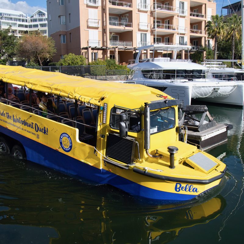 Total Ninja Inflatable & Obstacle Park - Cape Town Tourism