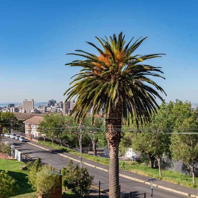 Bellville - Cape Town Tourism