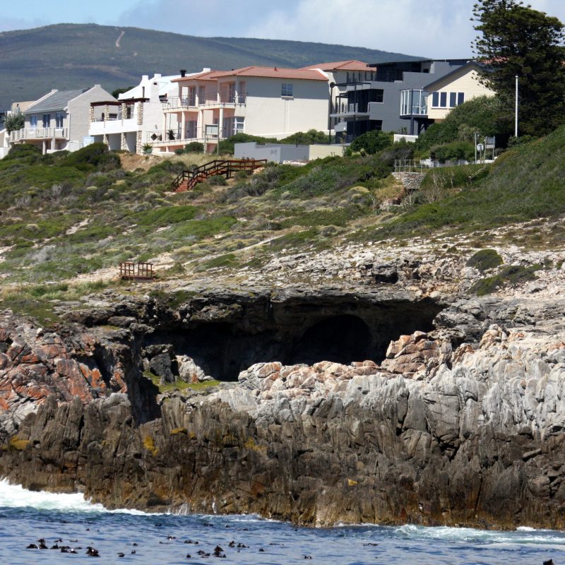 Two Oceans Aquarium - Cape Town Tourism